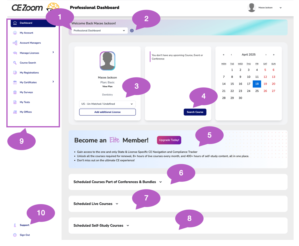 Understanding My CE Zoom (V2) Professional Dashboard