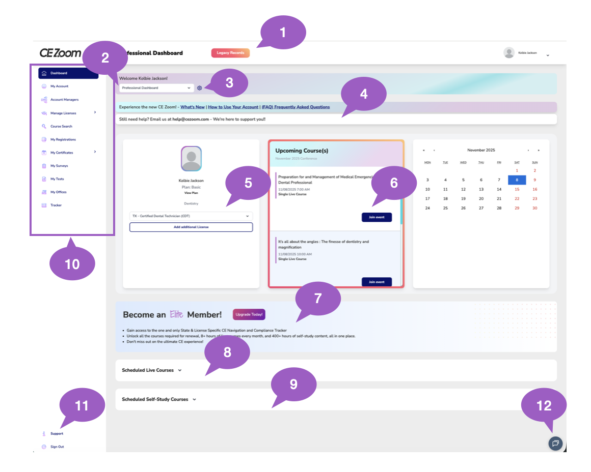Understanding My CE Zoom (V2) Professional Dashboard